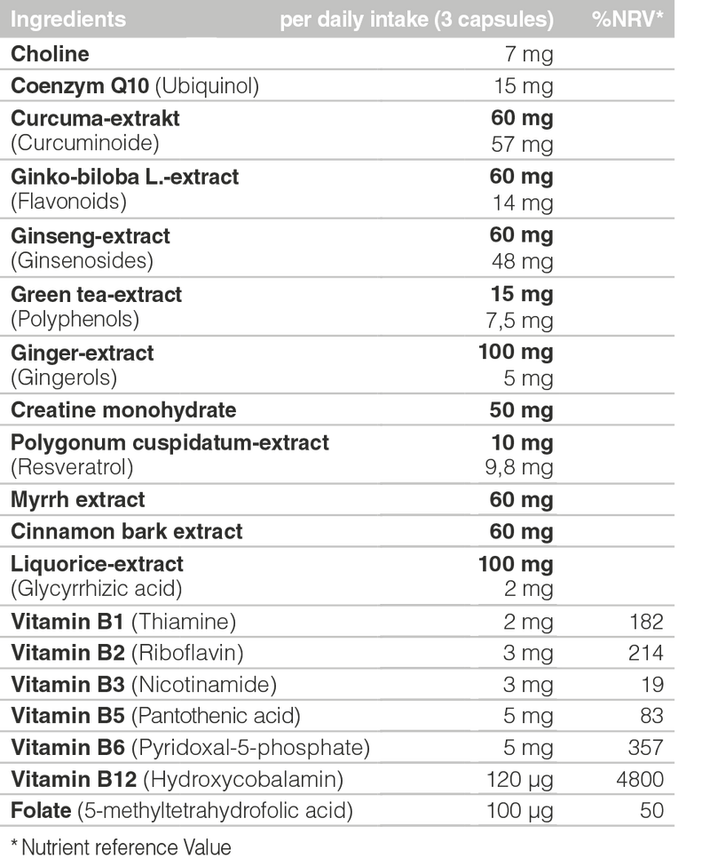 dynamic brain supplement – SUPZ Nutrition